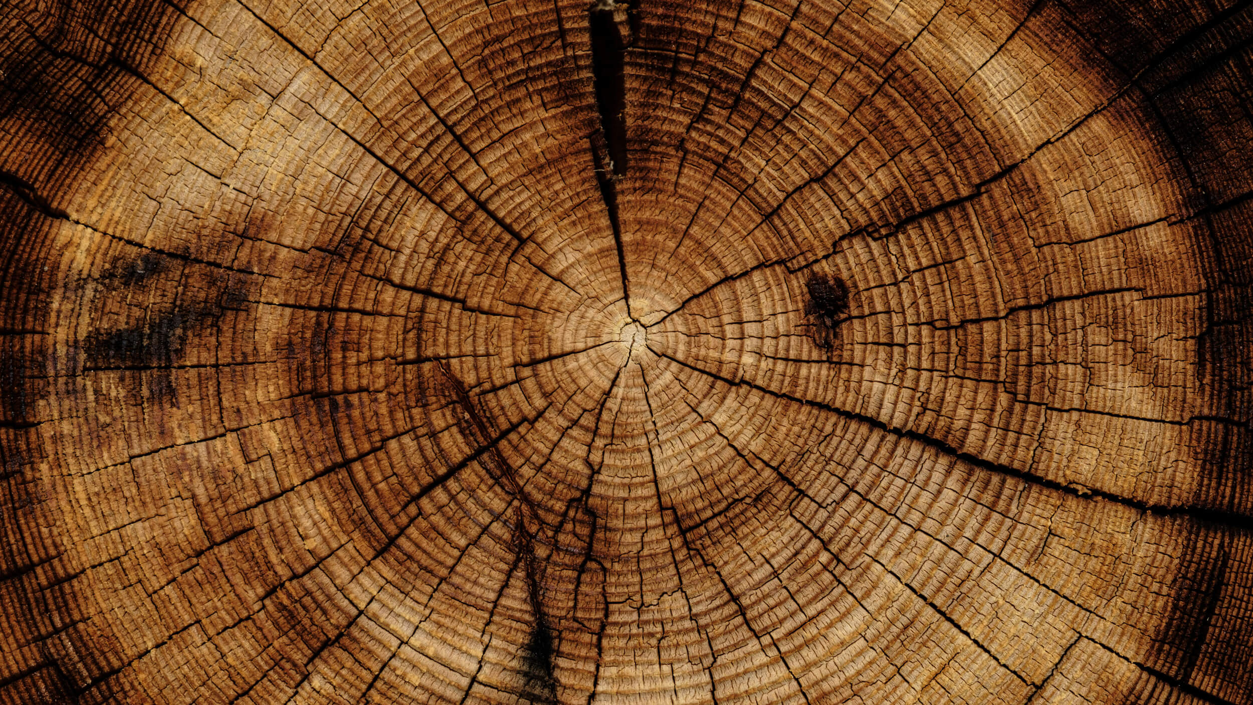 MADEZZA - Comercialización de materiales derivados de la madera